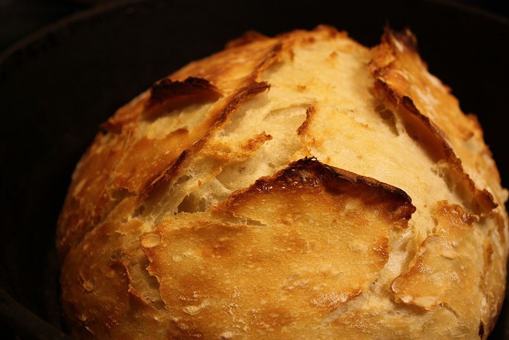 Receta de Pan casero con levadura seca . Paso a paso