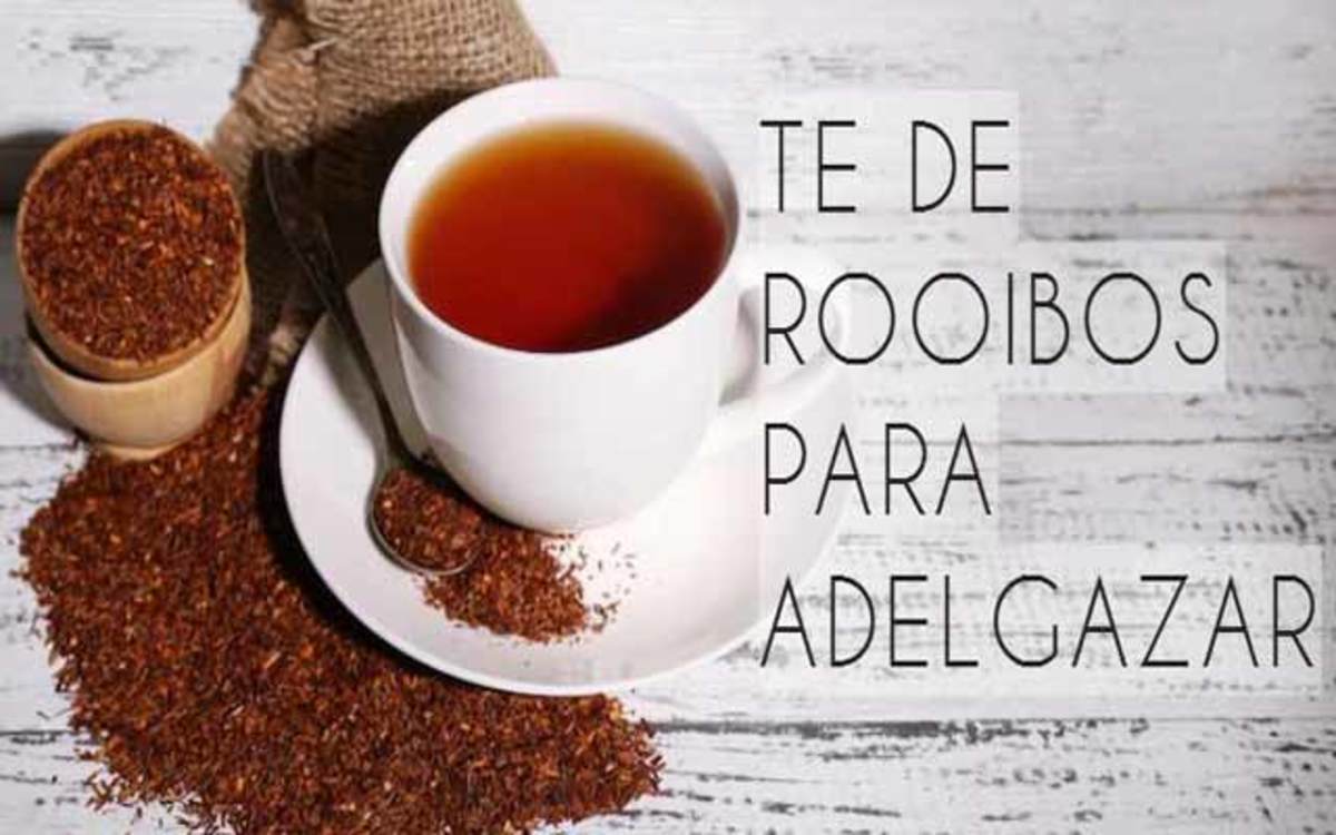 El té rooibos es saludable - QueApetito.com