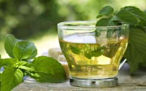 Cómo usar la Albahaca Fresca y algunas recetas