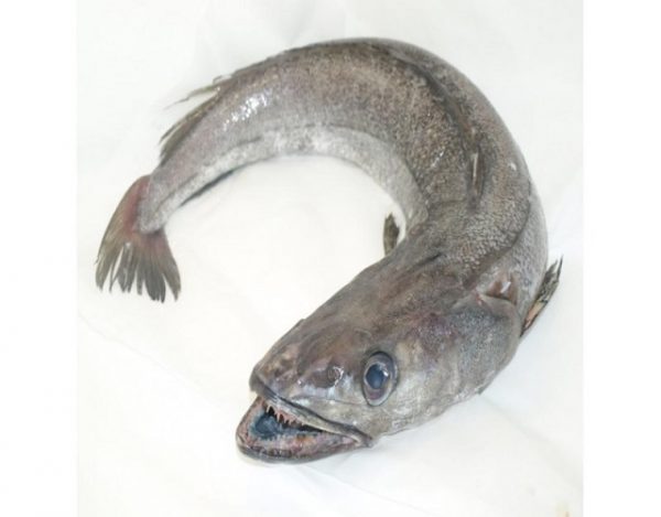 Receta de Merluza a la cazuela