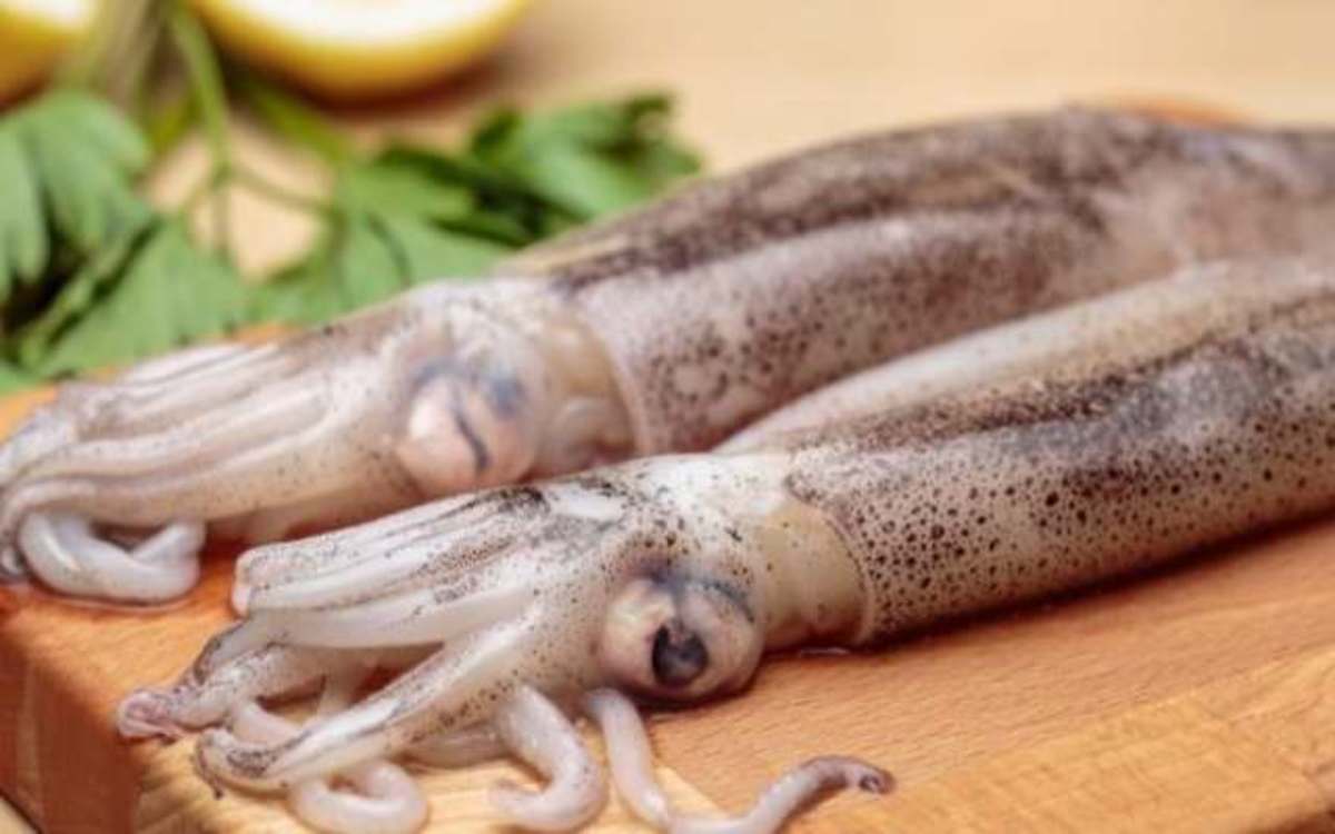 Receta de Chipirones guisados