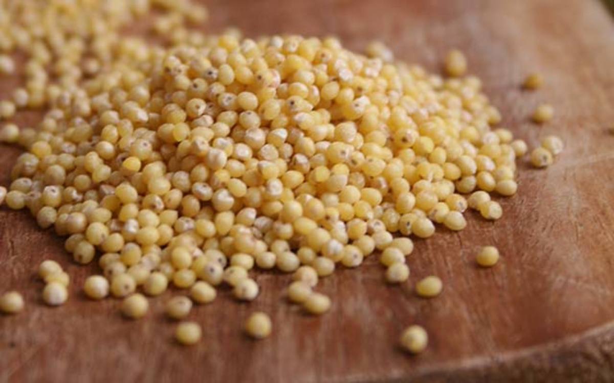 Receta de Ensalada de mijo