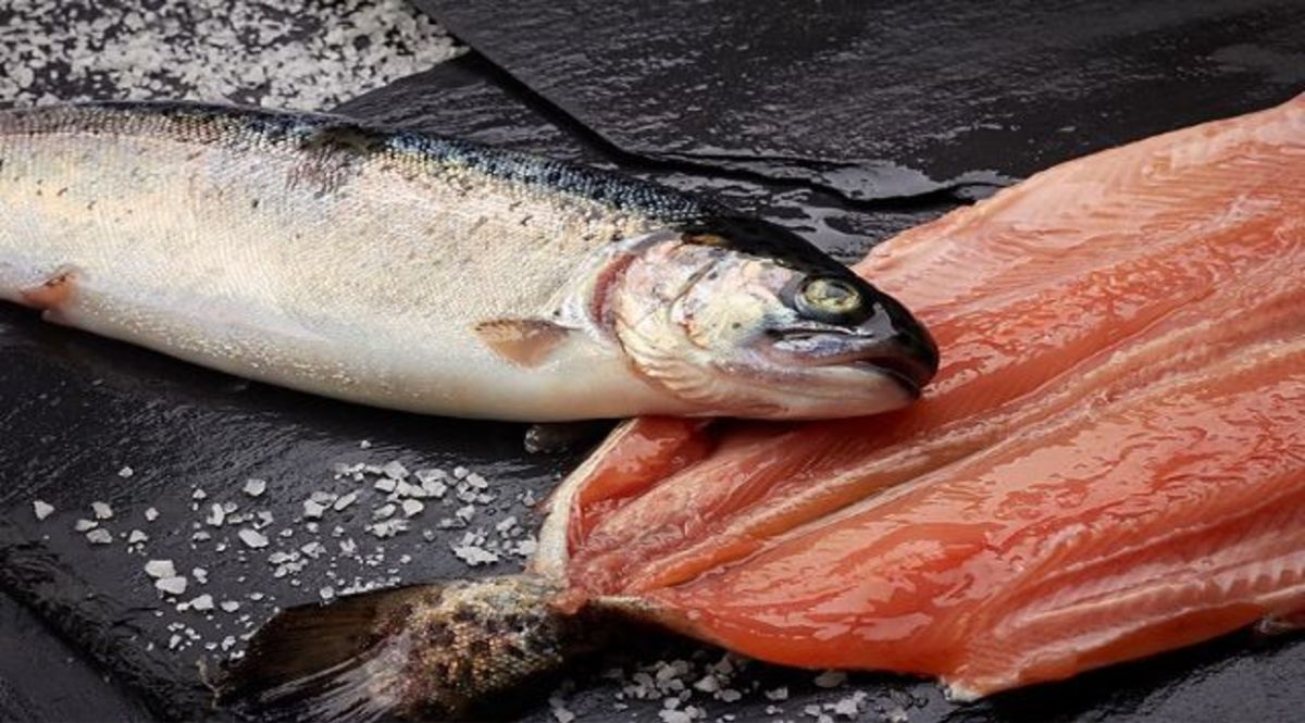 Receta de Trucha Ahumada