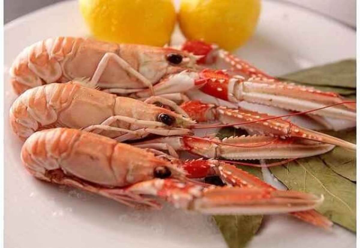 Receta de Cigalas a la plancha