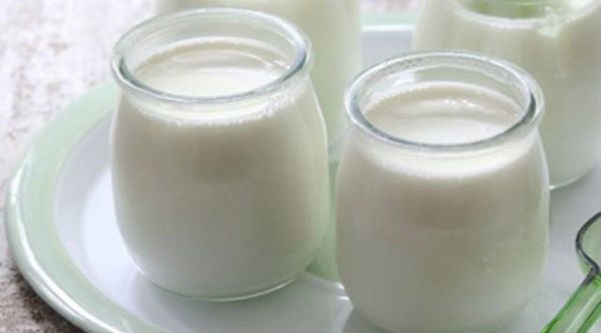 Receta de Yogur Natural Sin Lactosa