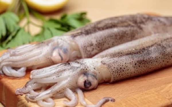 Receta de Chipirones en salsa verde