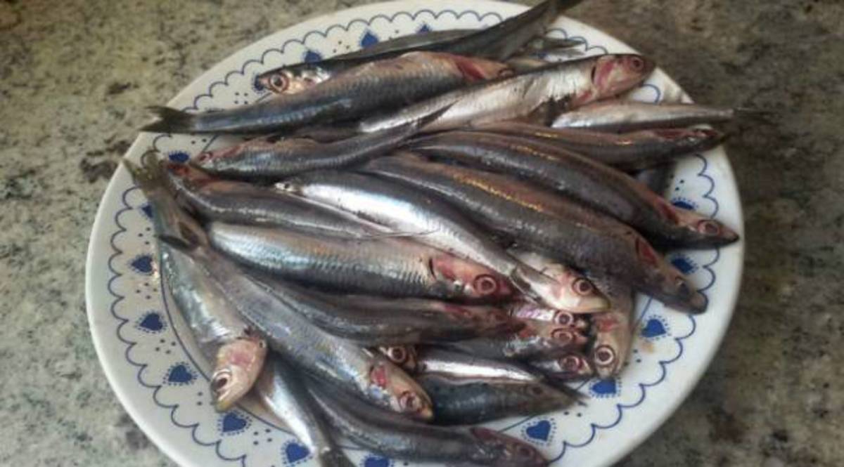 Receta de Boquerones en Adobo Rápido
