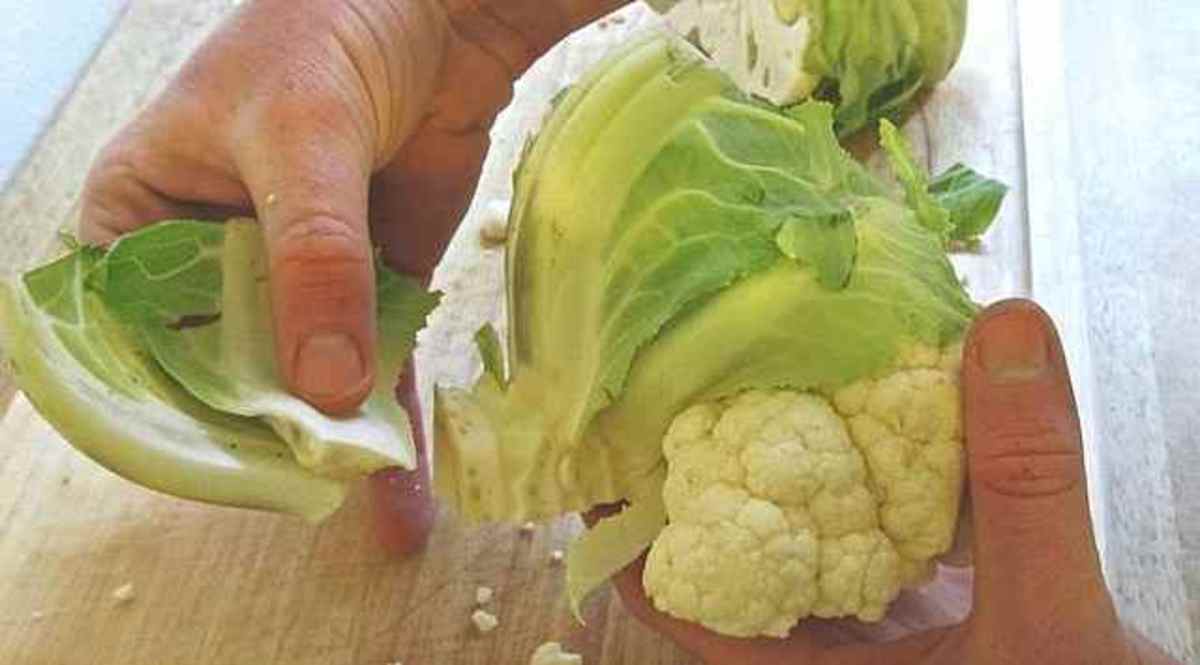 Receta de Coliflor salteada con cebolla