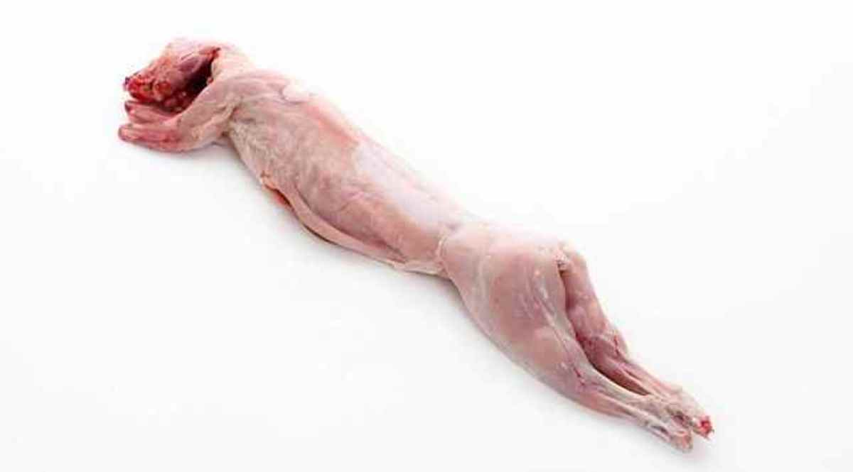 Receta de Liebre en salsa de verduras