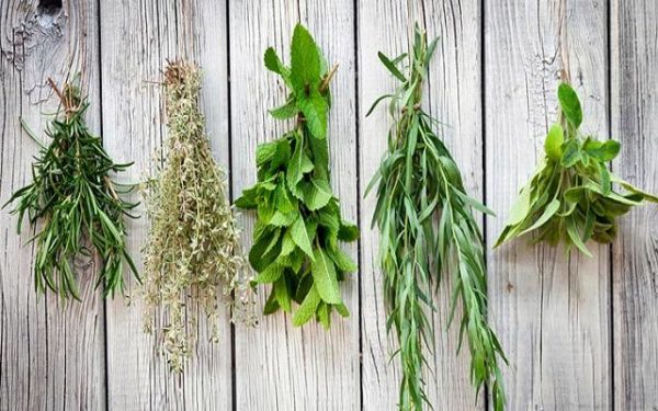 Receta de Verduras a las finas hierbas