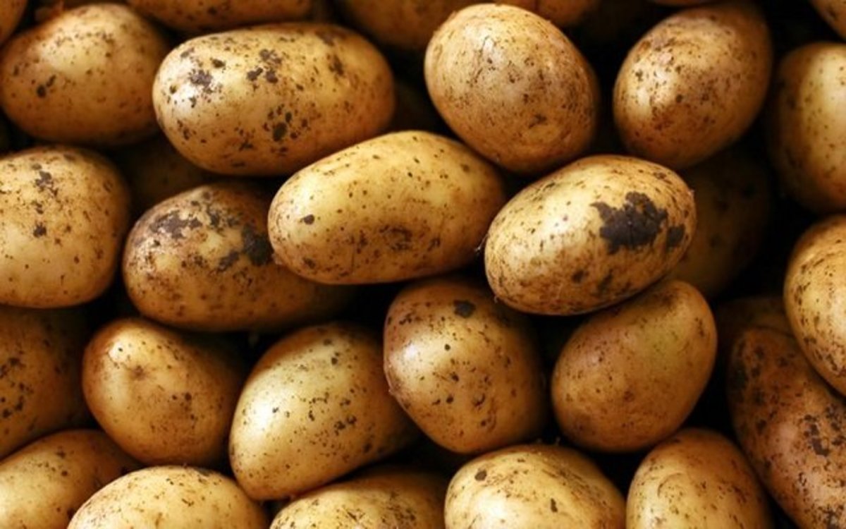 Receta de Tortilla de patatas light