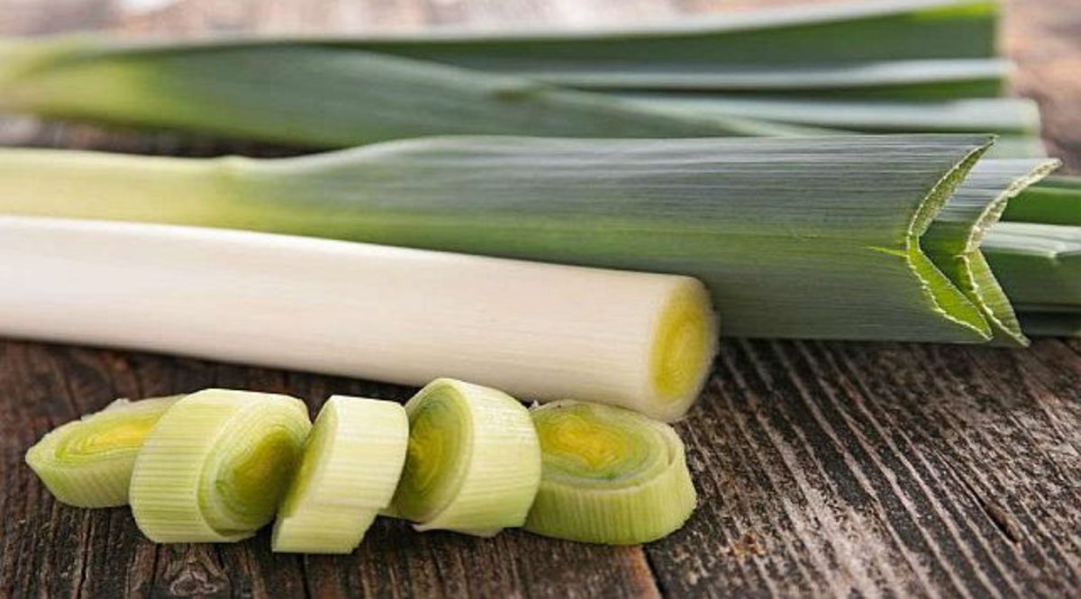 Receta de Fosforera venezolana