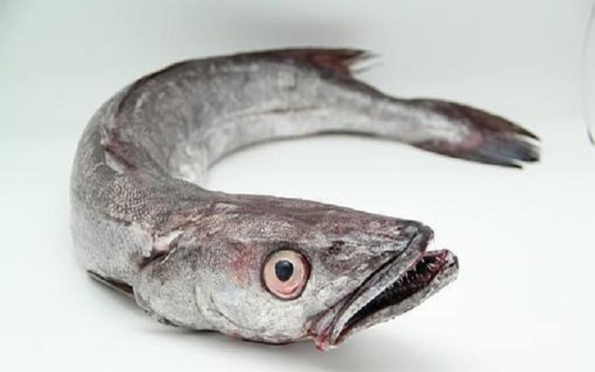 Receta de Merluza encebollada