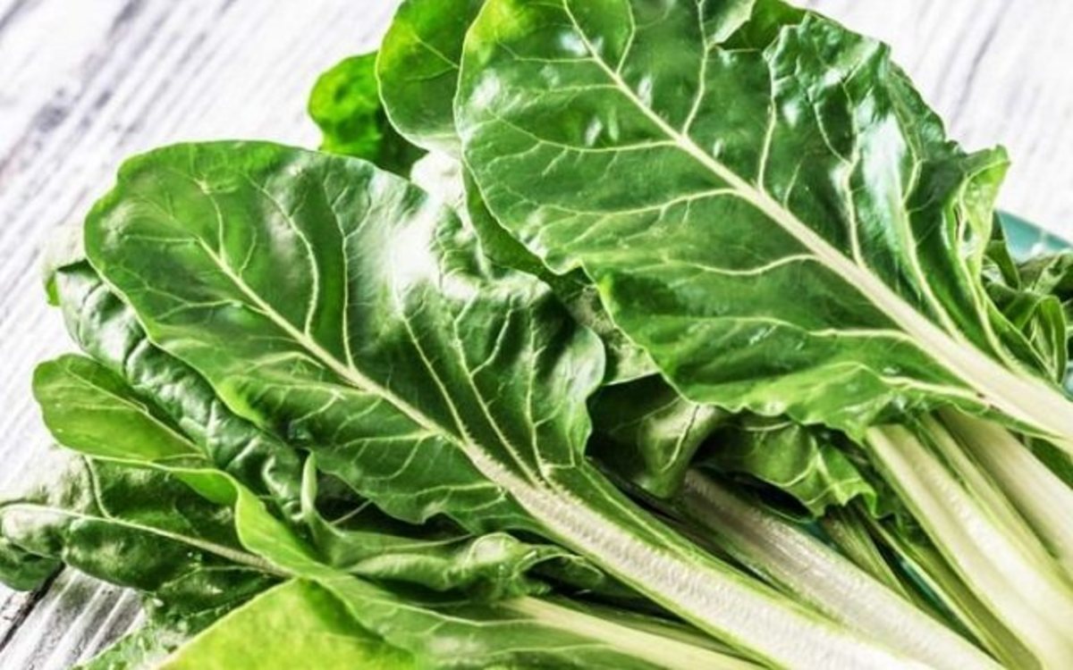 Receta de Acelgas gratinadas con bacon