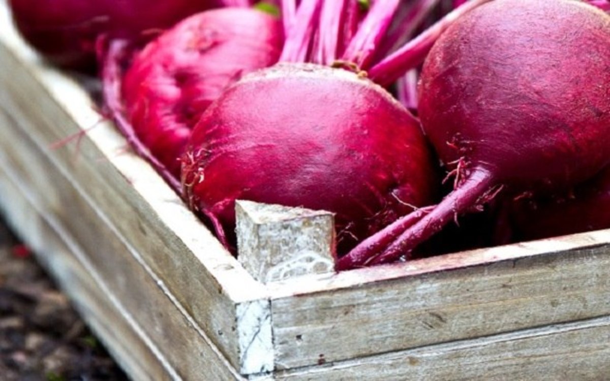 Receta de Ensalada de pasta con remolacha