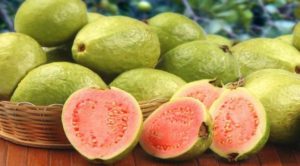 Receta de Mousse de Guayaba