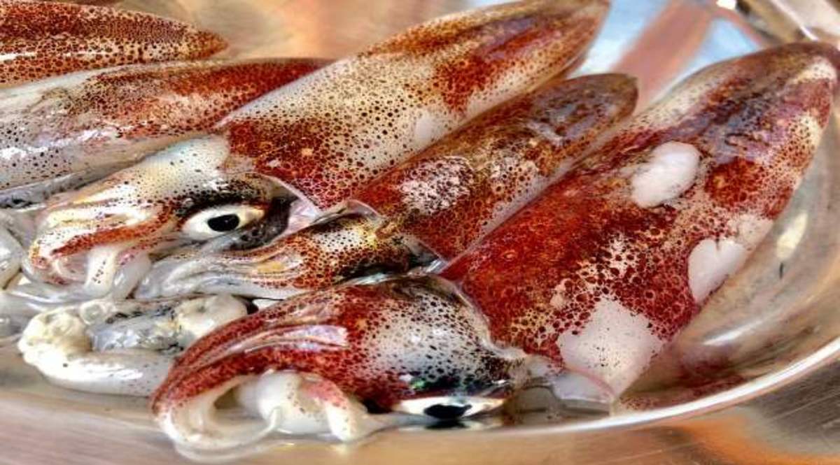 Receta de Chipirones a lo Pelayo