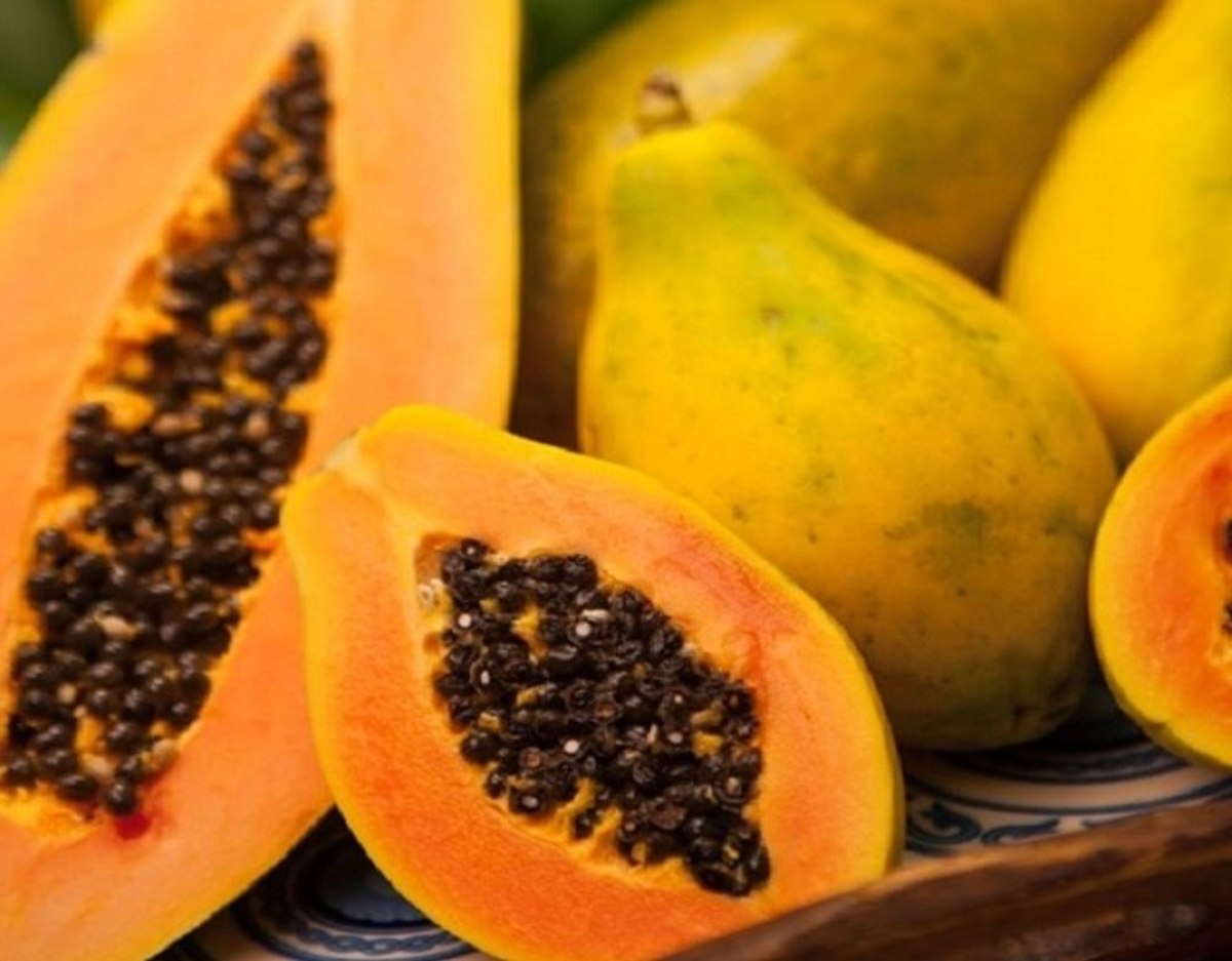 Receta de Smoothie de coco y papaya